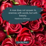 194 Best Quotes about Roses and Their Beauty