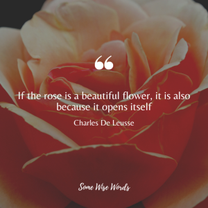 194 Best Quotes about Roses and Their Beauty