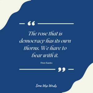 194 Best Quotes about Roses and Their Beauty