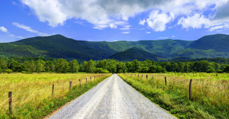 61 Stay in Your Lane Quotes to Help You Keep on Track - Some Wise Words